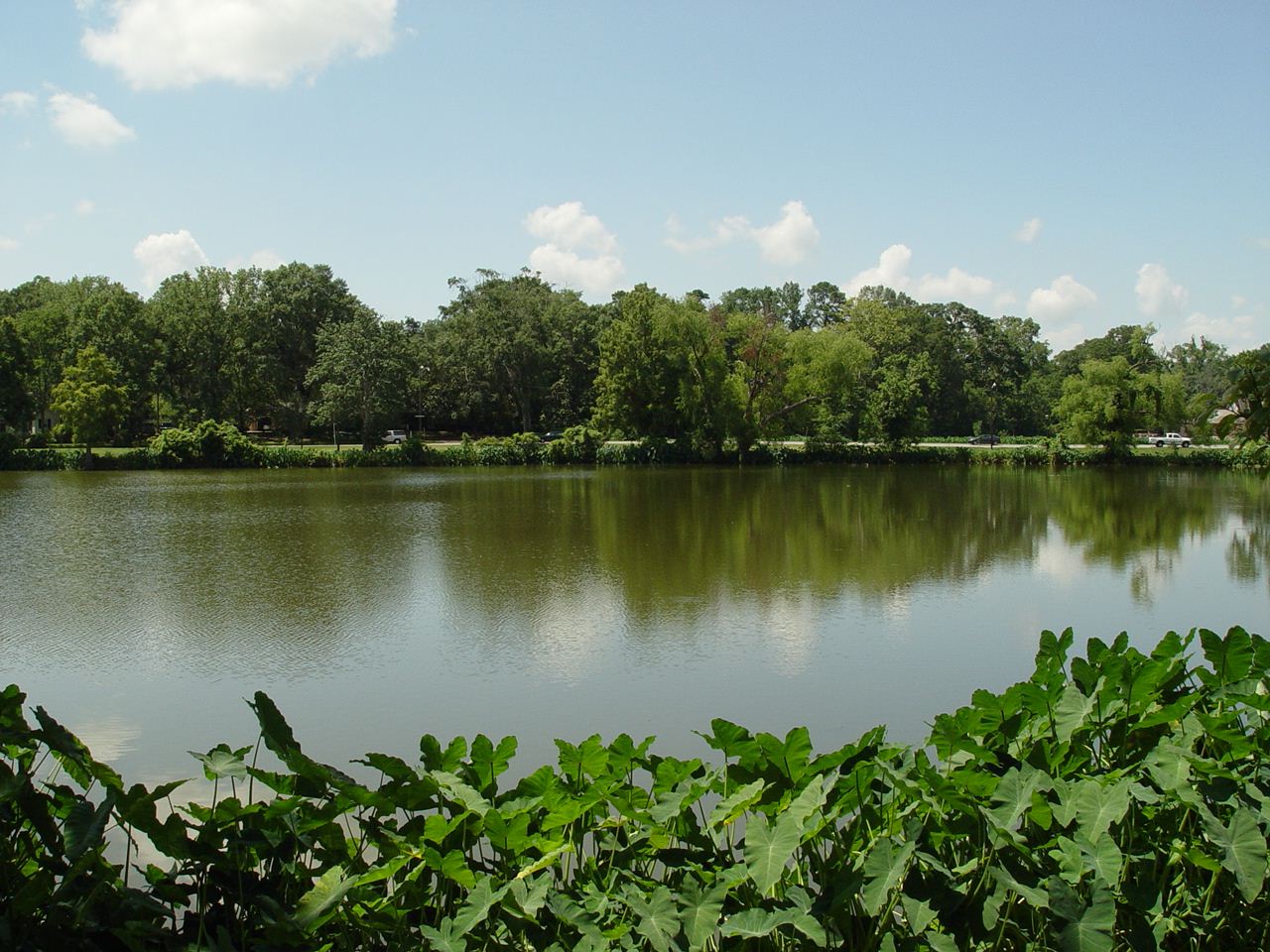 Locations Hub - LSU-Sorority Row