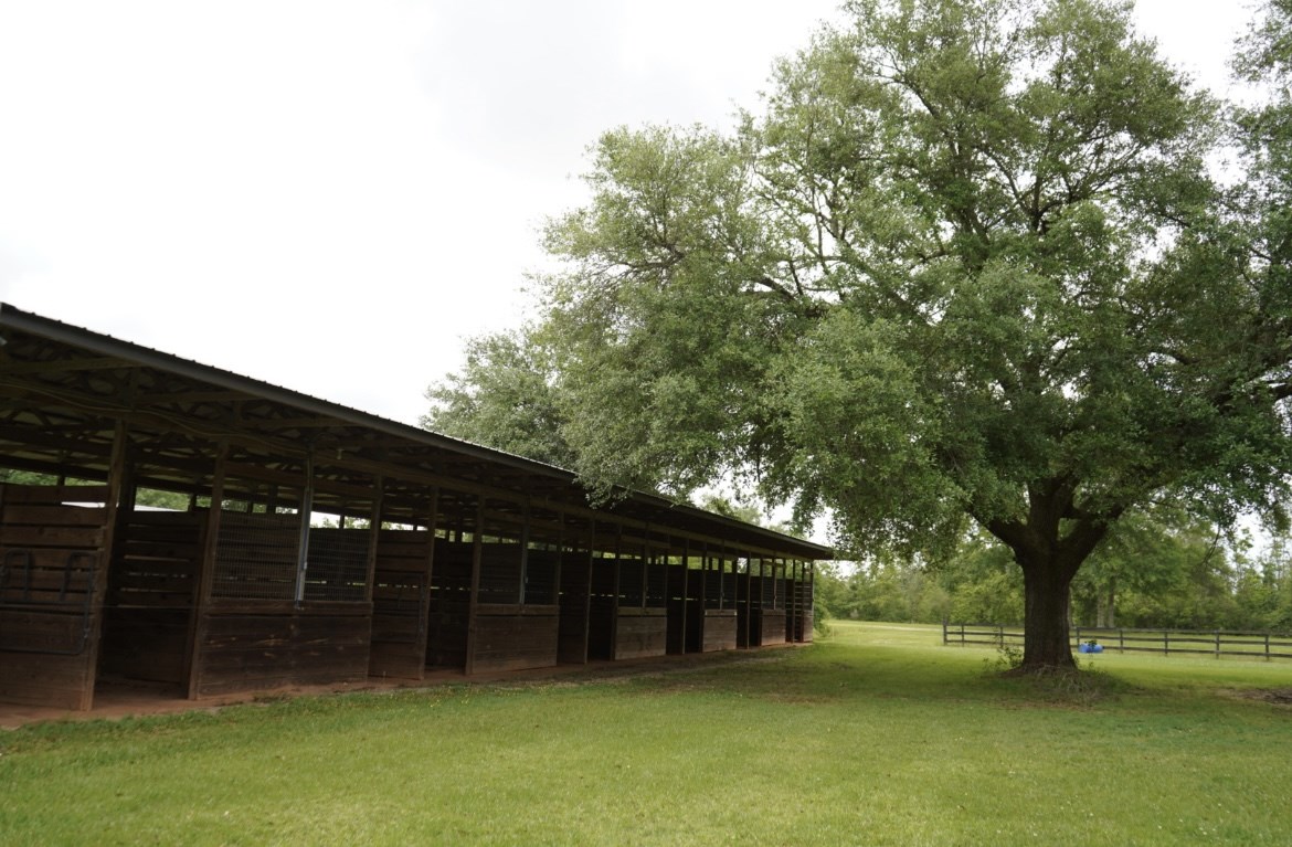 Locations Hub - Hitch Stables