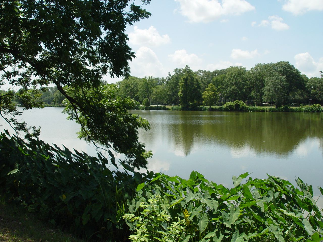 Locations Hub - LSU-Sorority Row