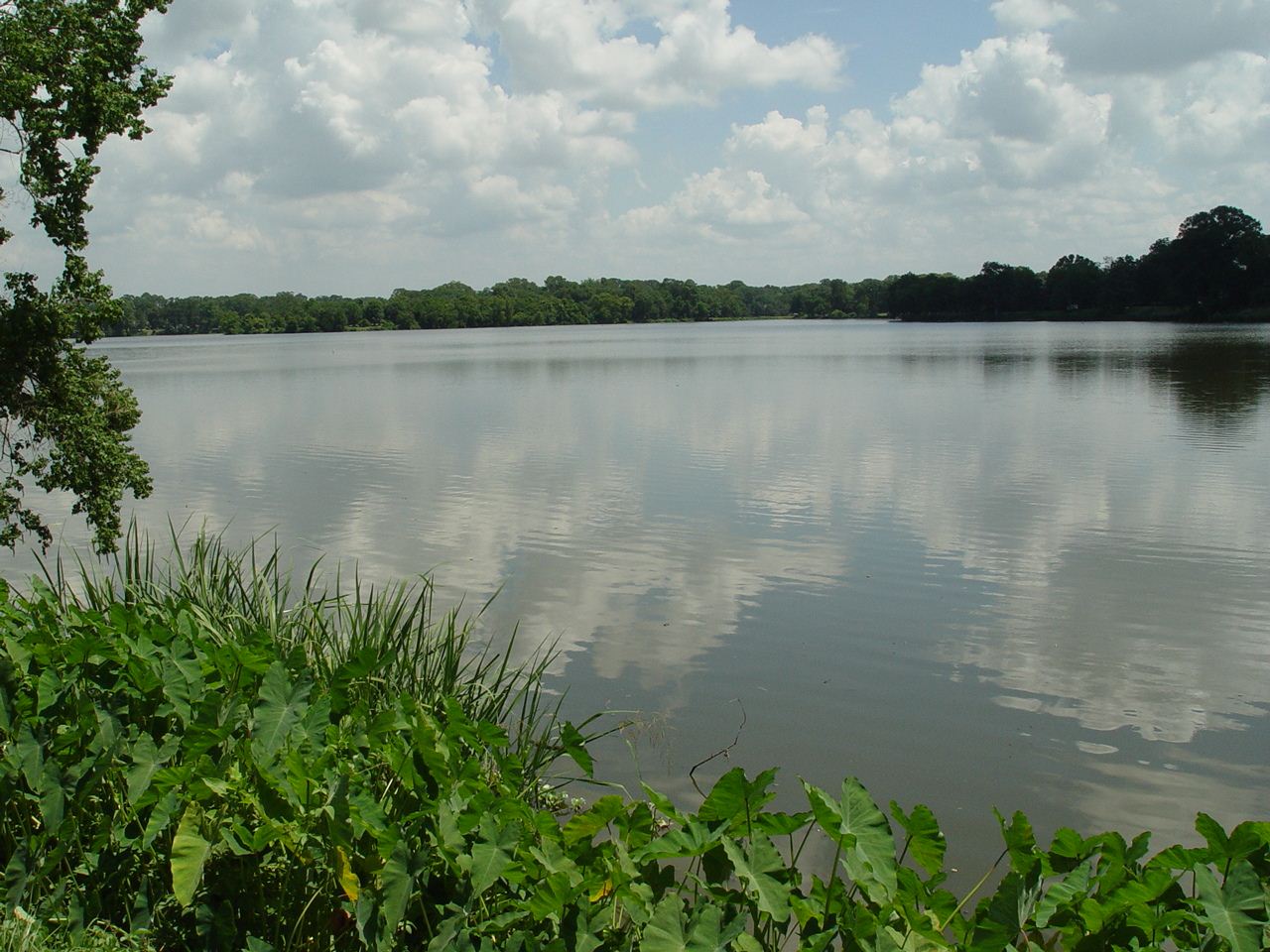 Locations Hub - LSU-Sorority Row