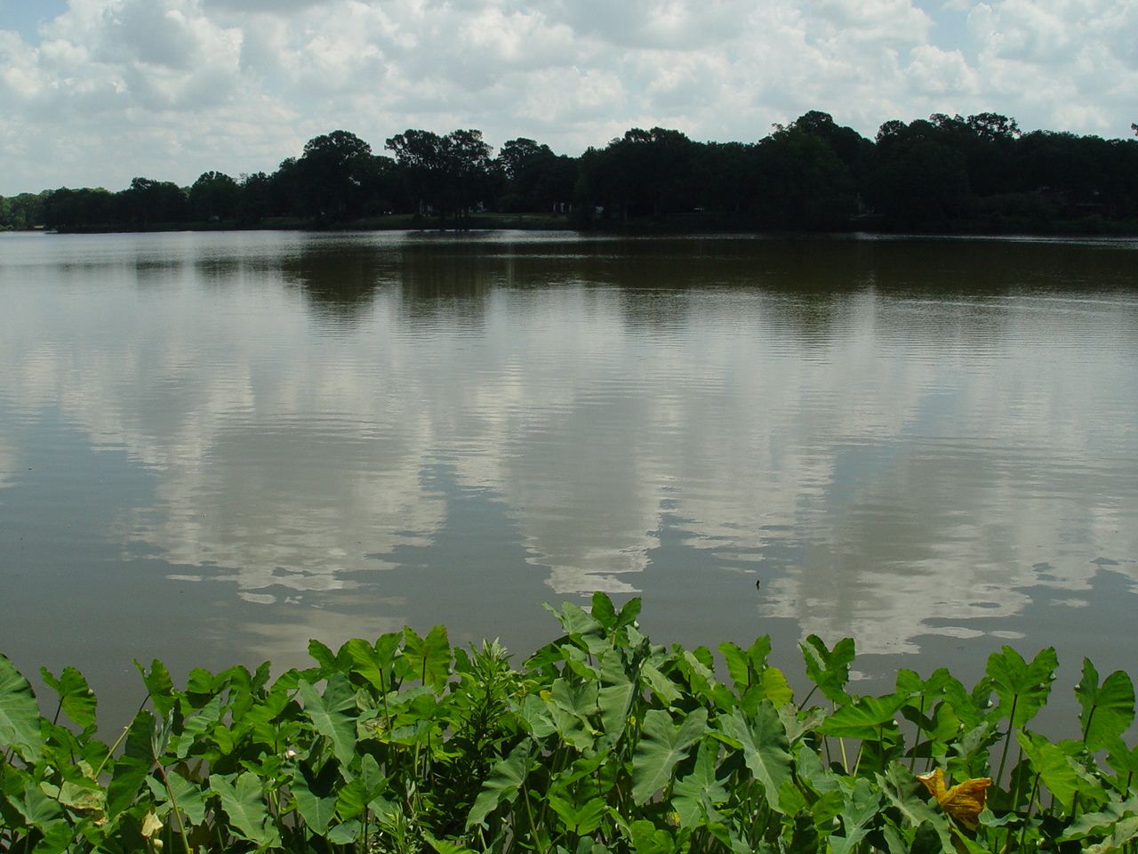 Locations Hub - LSU-Sorority Row