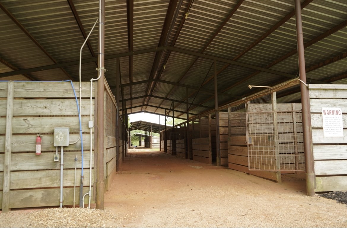 Locations Hub - Hitch Stables